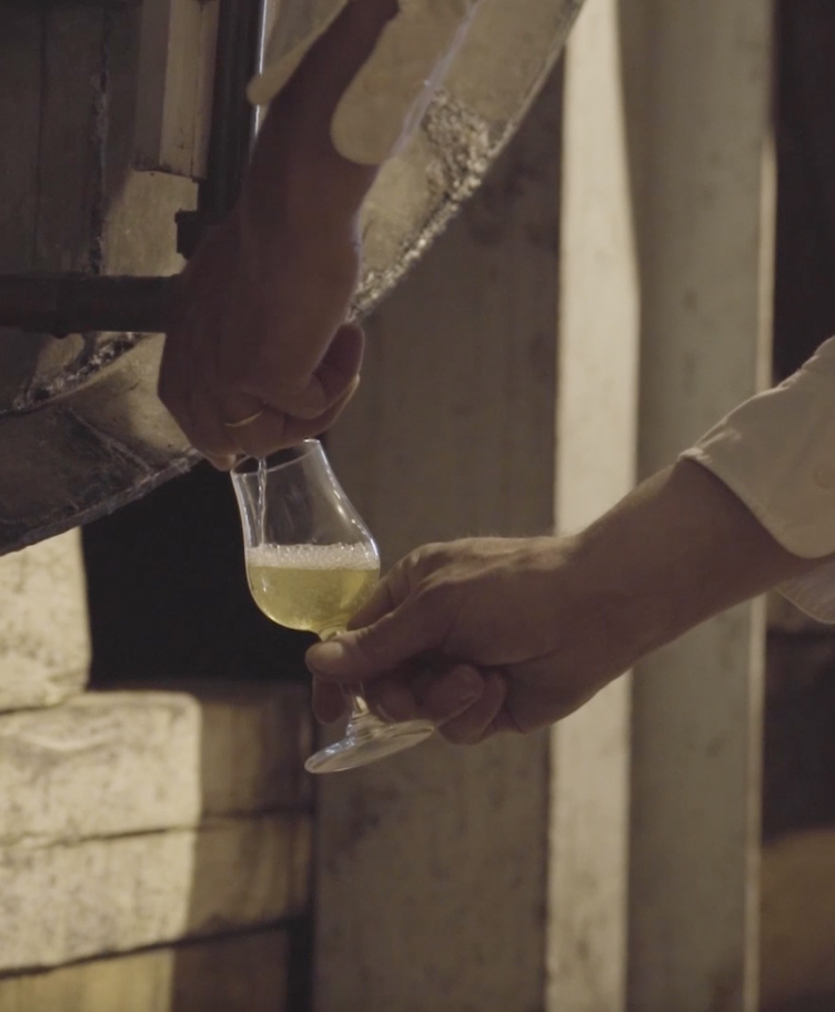 Single Grape - Cognac Godet